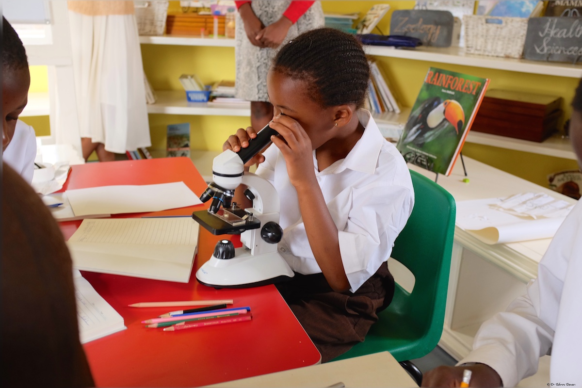 Learning to use the microscope | The Troutbeck School