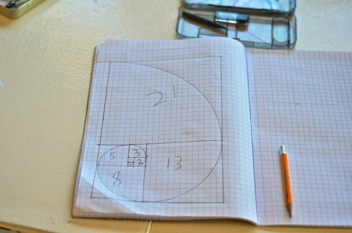 Finding Fibonacci around us in Maths | The Troutbeck School